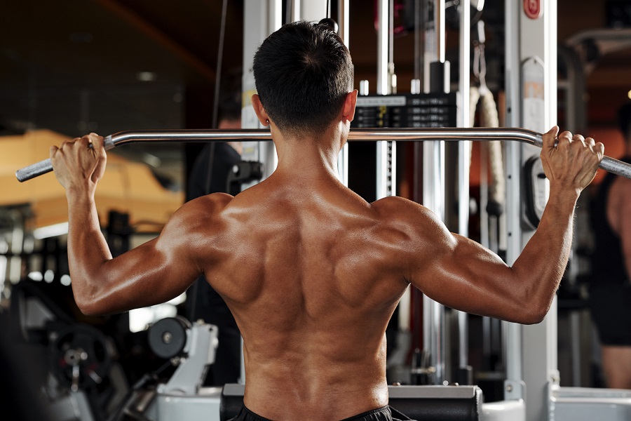 How To Tone Your Back Muscles | Top Shape Now