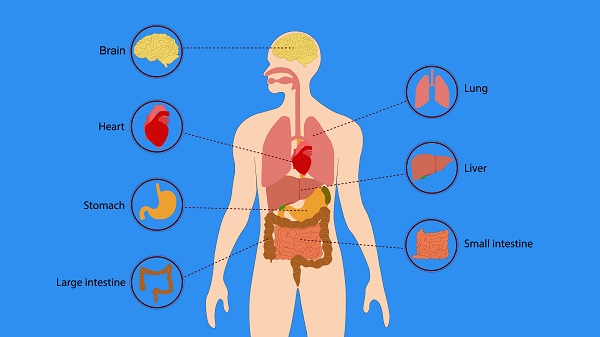 Sugar Consumption And Its Hidden Impacts On Your Health | Top Shape Now
