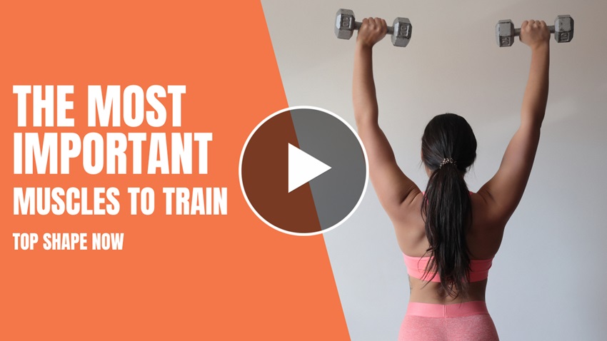 The Most Important Muscles To Train | Top Shape Now